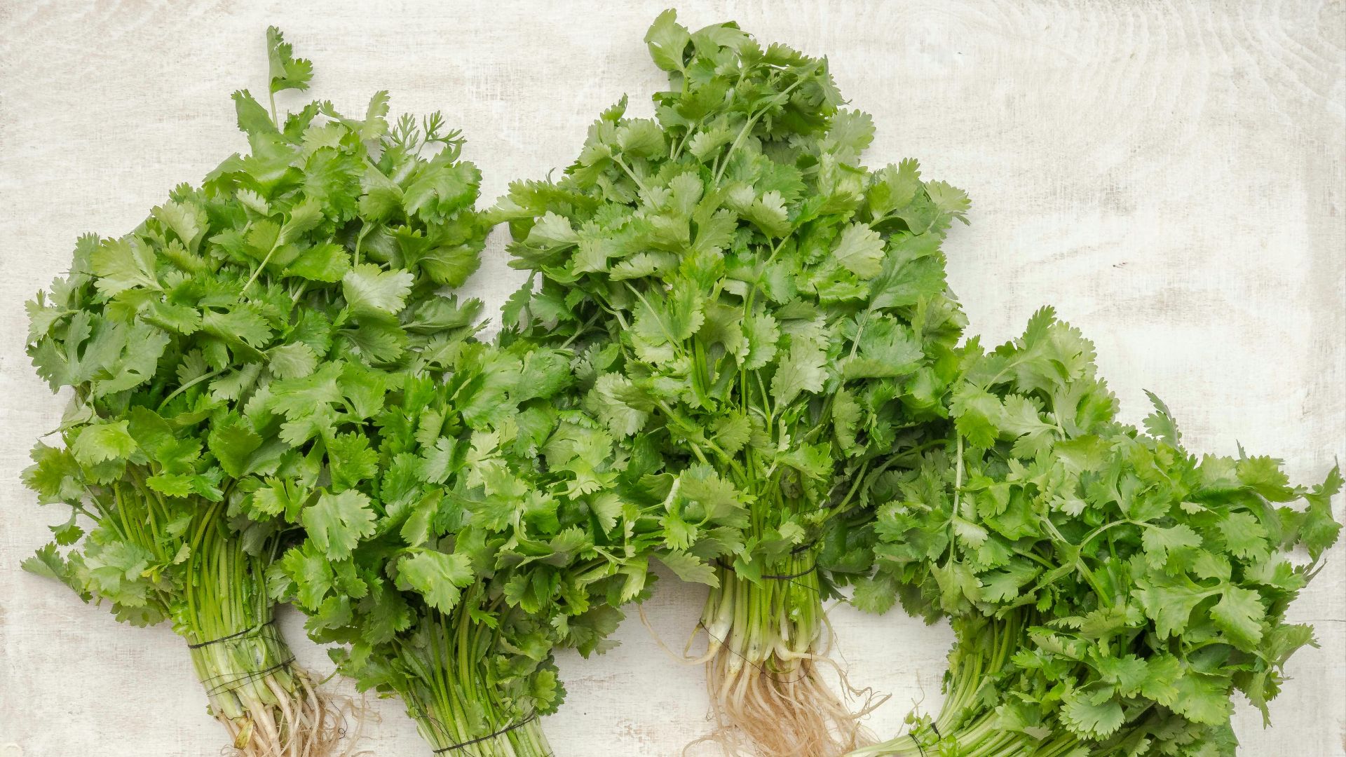 20 polarizing foods that we're still unsure about