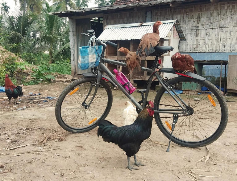 World Environment Day: Taking the green route to farm life