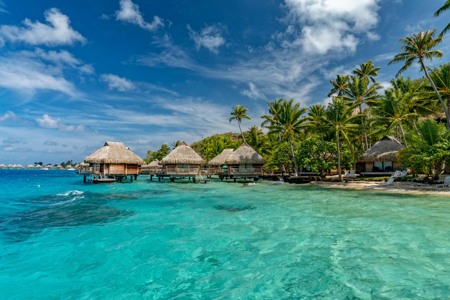 From tropical islands to ancient cities: Bucket-list trips worth ...