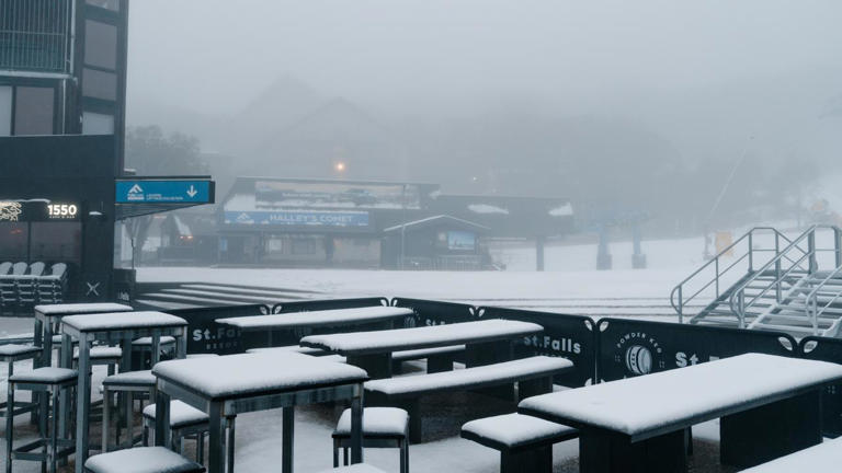 Secret to perfect ski trip revealed