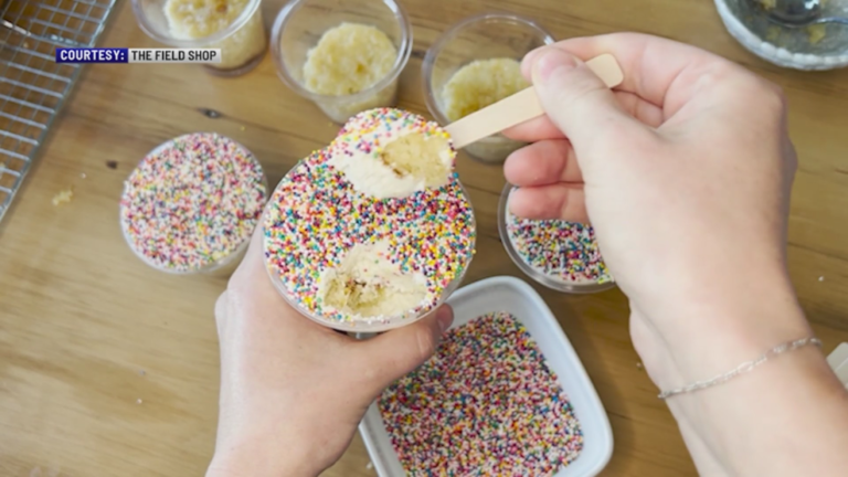 Stuyvesant micro bakery brings viral dot cake trend to area