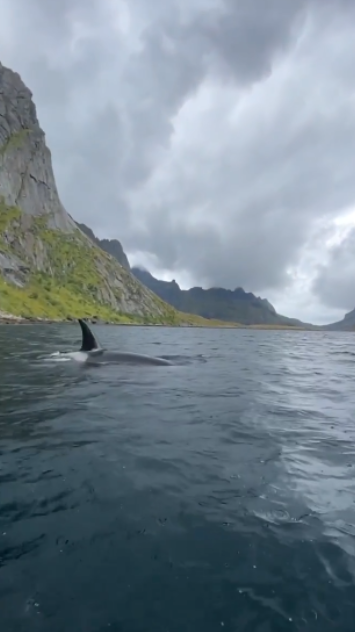 Exploring Lofoten nature photography adventure