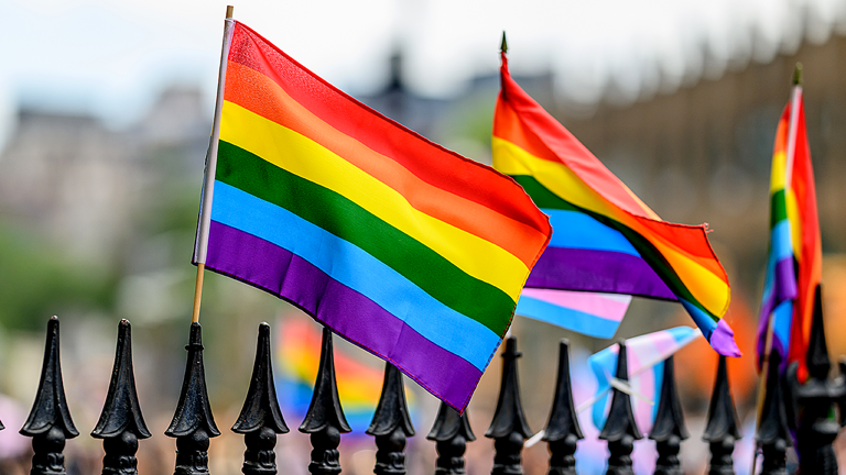 Fox News campus radicals newsletter: Pride flags removed, DEI back ...