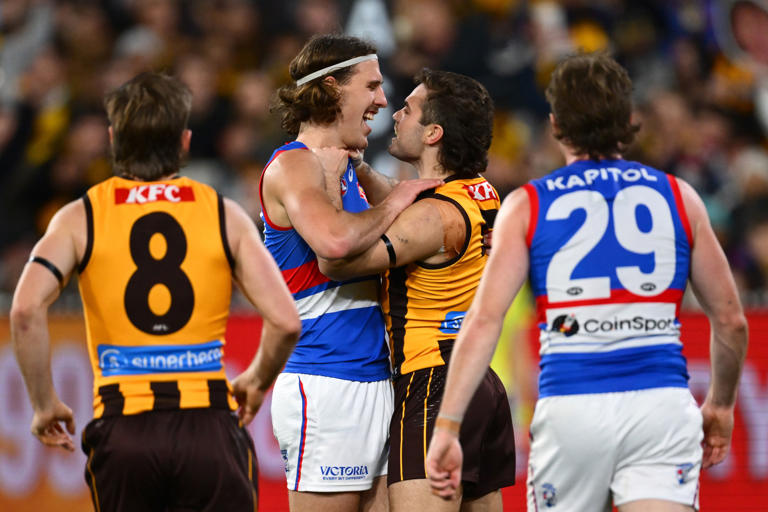 Hawthorn star's move backfires as Bulldogs young gun fires up over ugly ...
