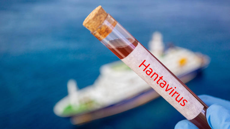 New hantavirus case confirmed in Spain after cruise ship outbreak