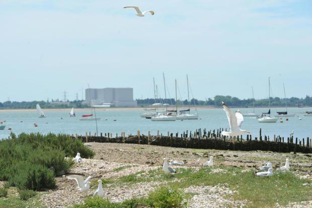 Essex island with 'old-school seaside charm' named best in UK