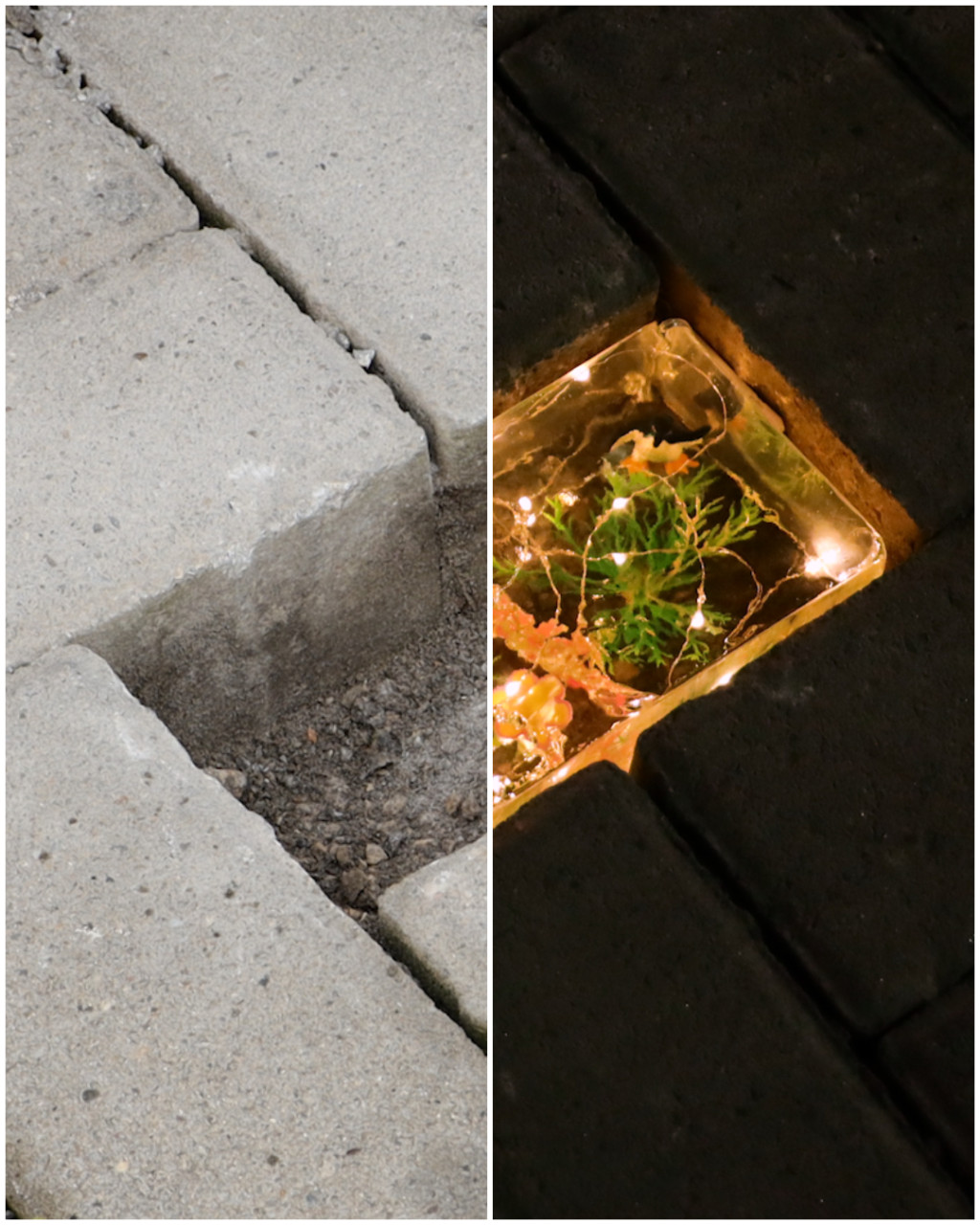 Miniature aquariums in the pavement!🐠