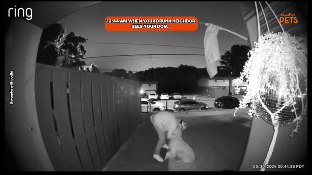 Late-night dog visit captured on Ring camera
