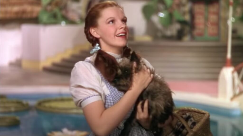 The heartbreaking truth about Judy Garland’s life after 'The Wizard of Oz'