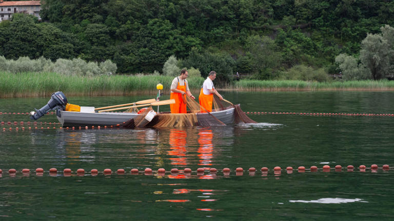 Lago d'Orta, in 50 anni +2 gradi dell'acqua e specie aliene in aumento