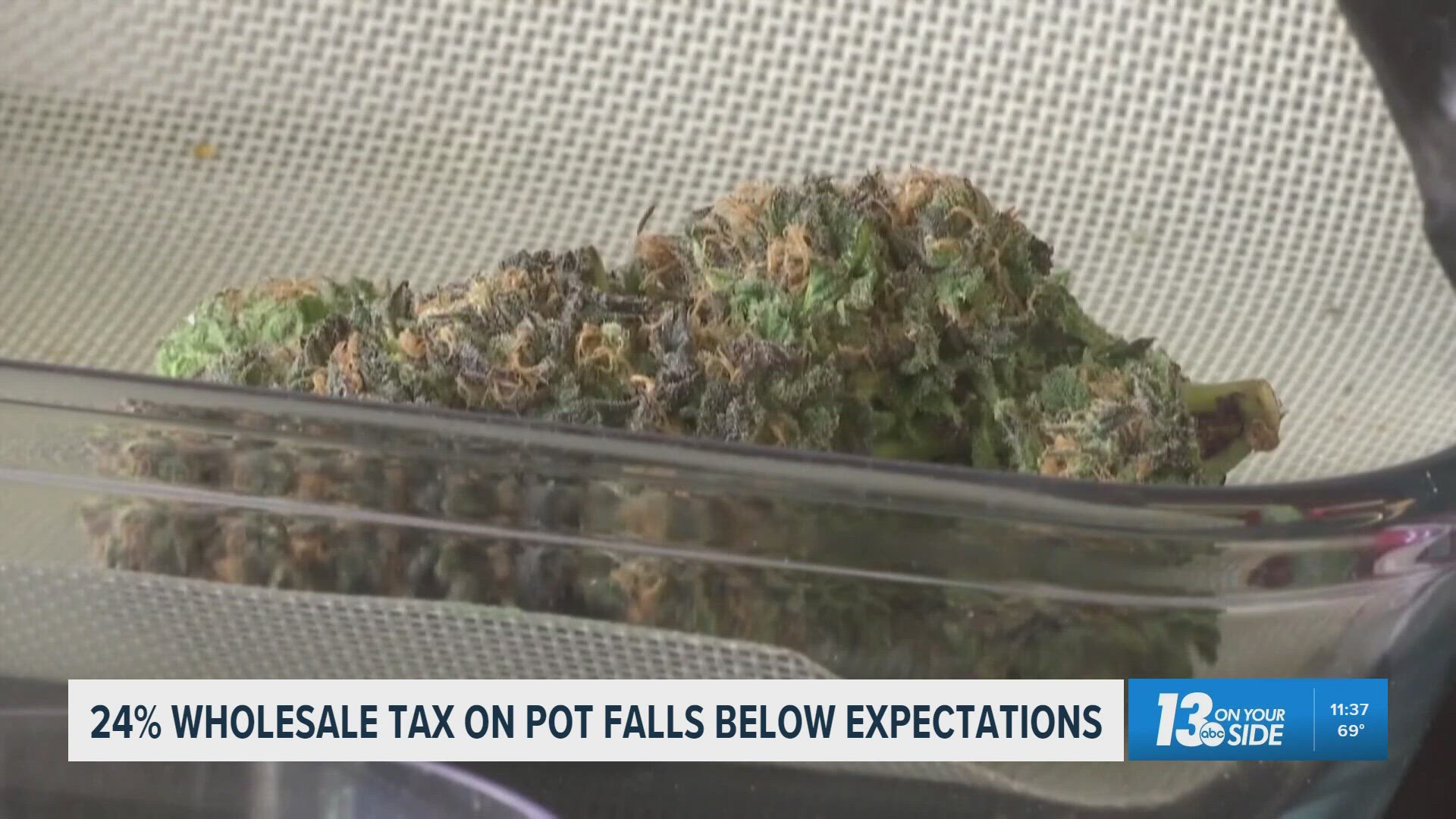 Q1 wholesale marijuana tax collections fall below expectations