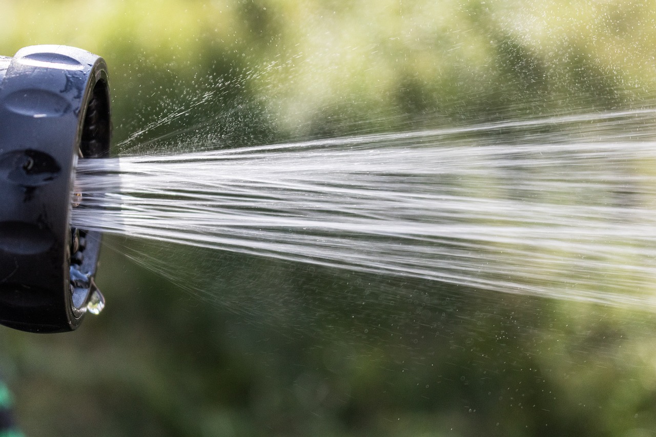 What you need to know before watering your lawn with bath water