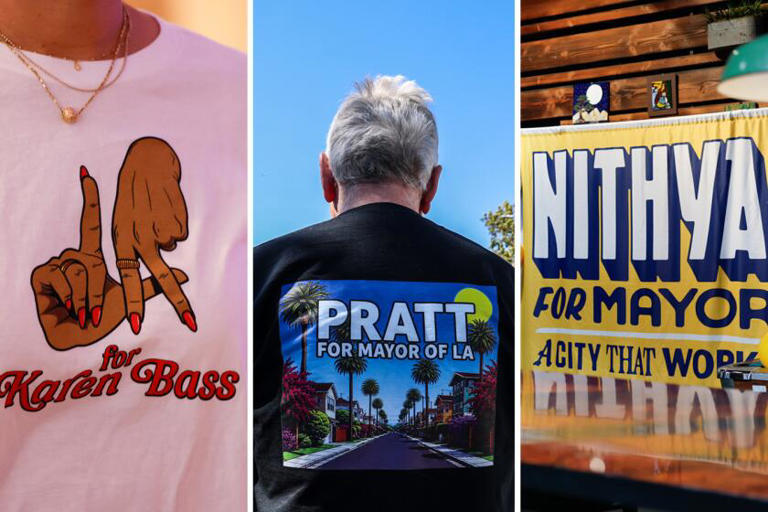 LA divided: Bass, Pratt and Raman dominated in different parts of the city