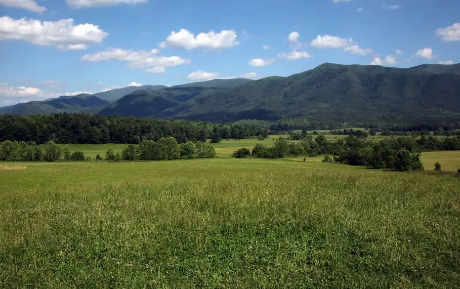 Cades Cove adventures worth slowing down for