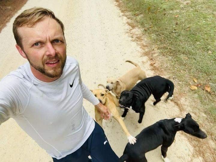 Runner incontra un gruppo di cani nel bosco e scopre che cercavano solo ...