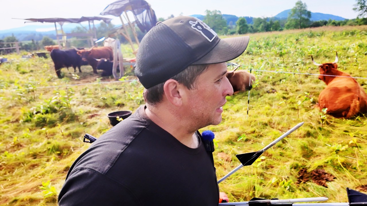 Learn how I manage farm animals while restoring local ecosystems for ...