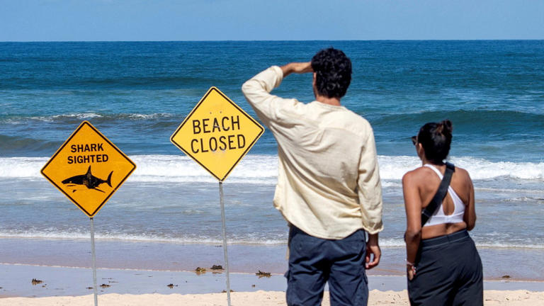 Man dies after shark attack in Australia