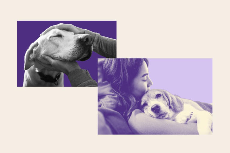Millennials and Gen Z are gentle parenting their dogs—it's a problem