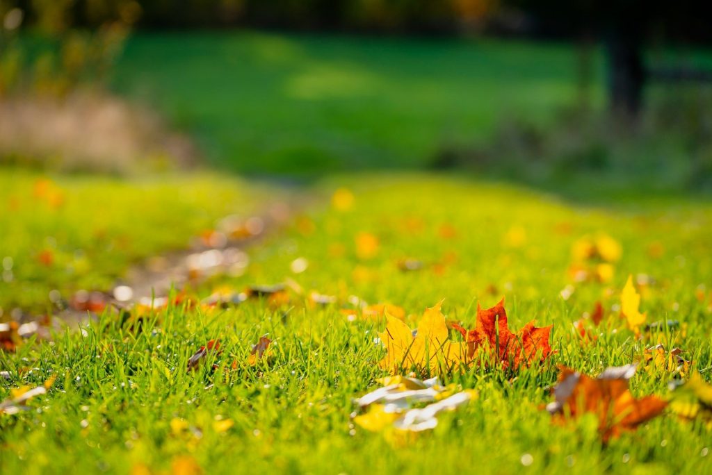 9 money-saving garden bed hacks that actually work