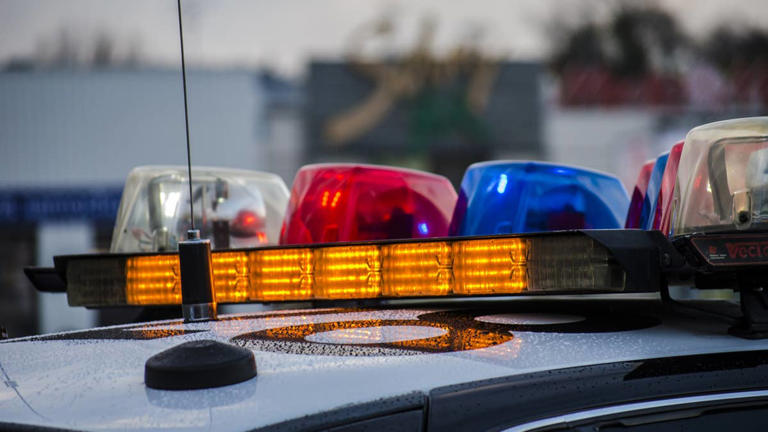 Charges: Repeat drunk driver crashed car, fled and hid in deer stand
