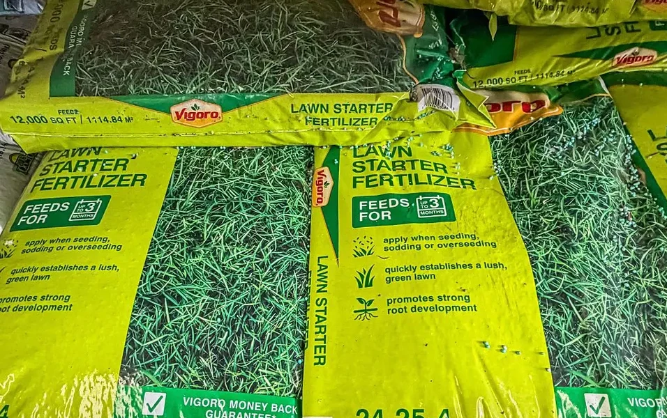 Experts share June lawn care tips for healthier summer grass