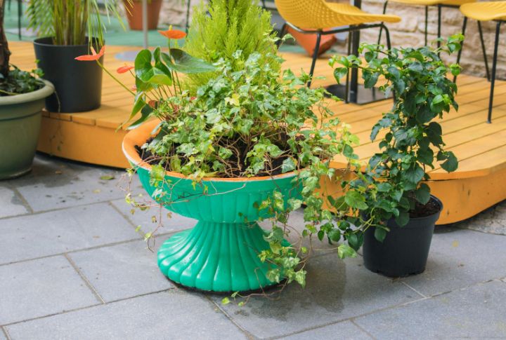 10 smart filler ideas for large planters that save time and money