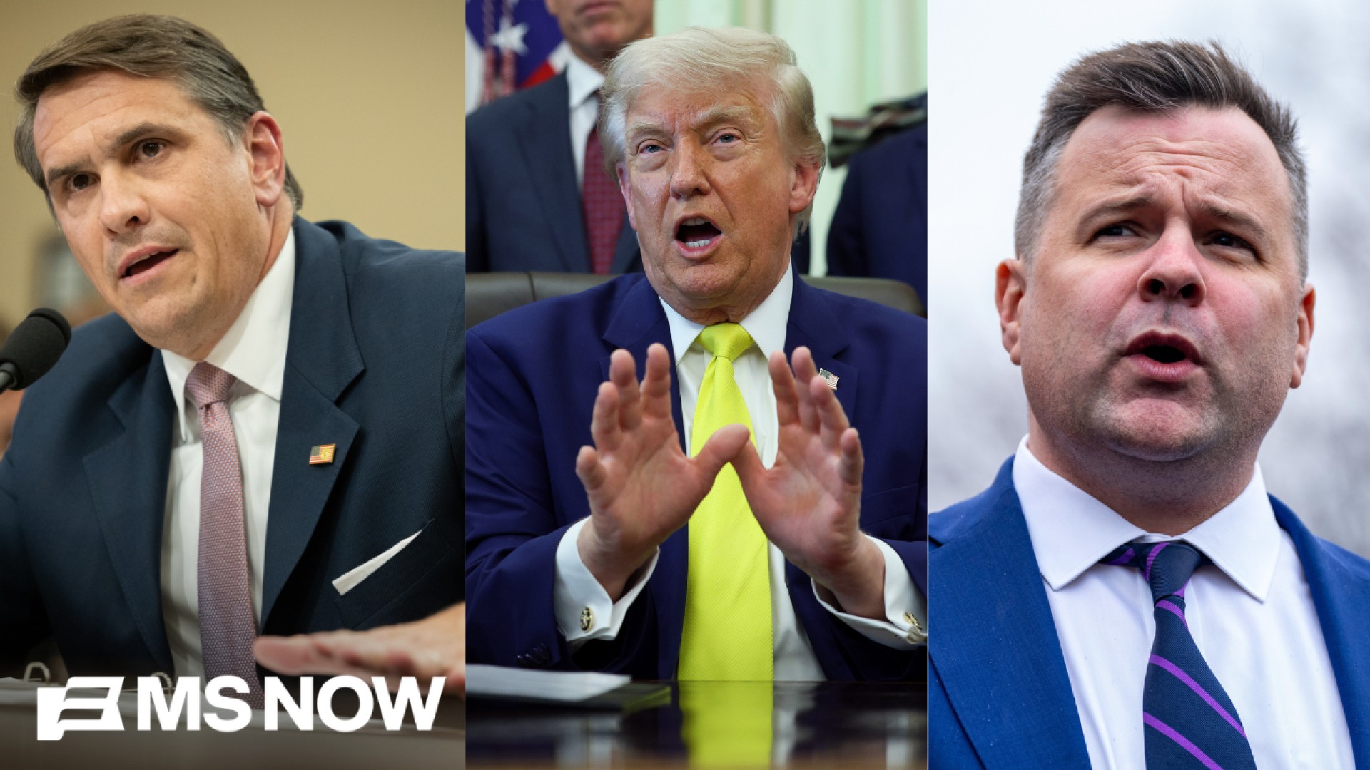 New book talks fighting back against Trump’s ‘mob-style government’ as ...