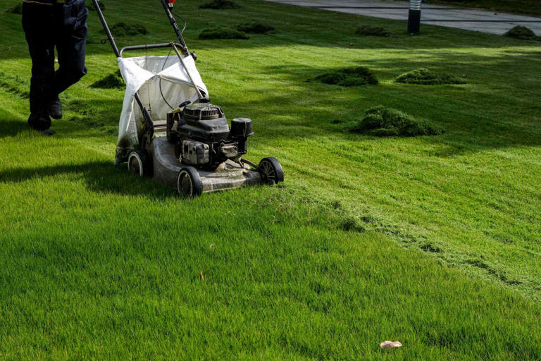 Should you tip your lawn care pro? Experts explain the proper etiquette