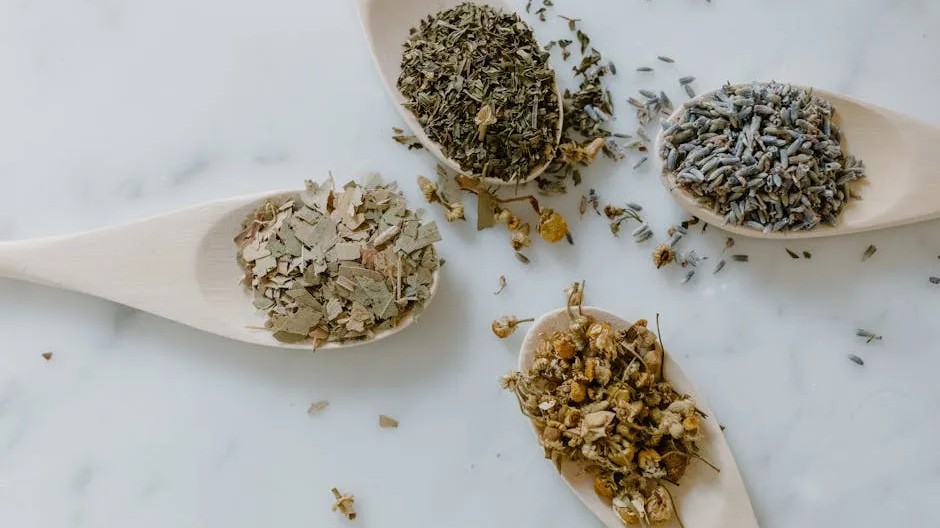 How to harvest and store fresh herbs to last all winter