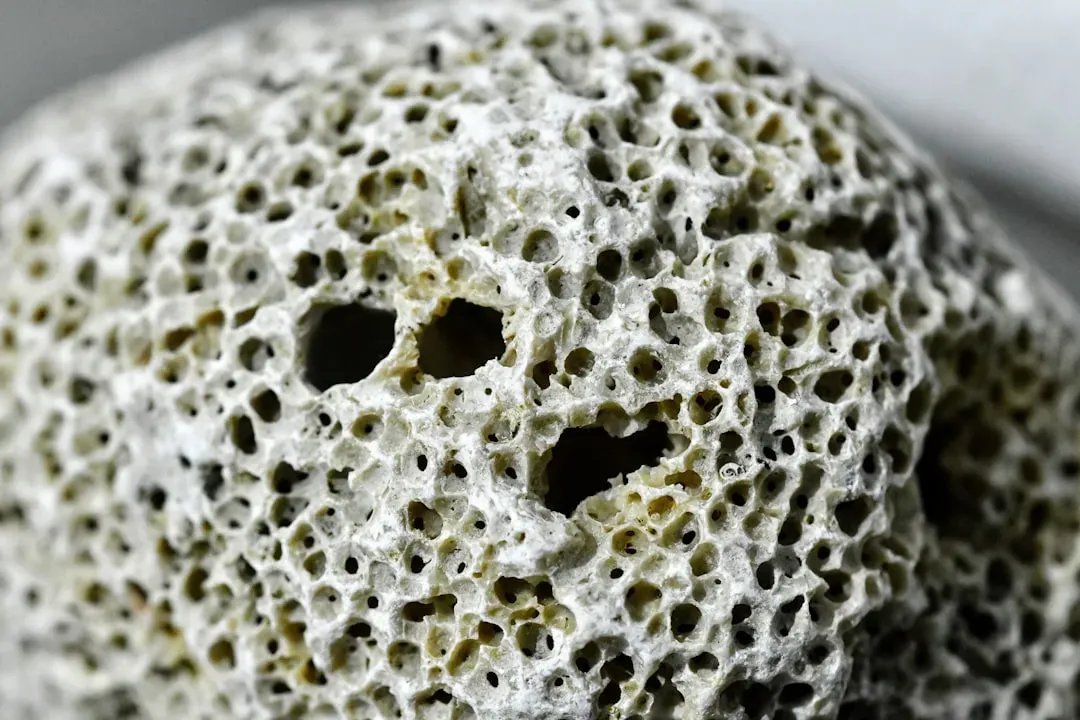 7 deep-sea discoveries that have marine biologists feeling ...
