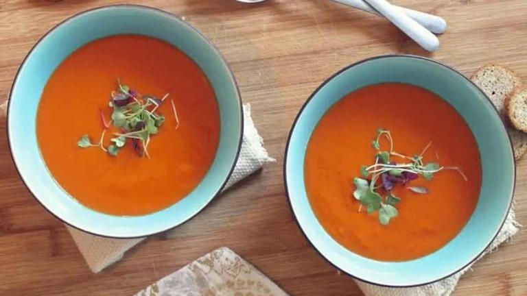 Efficient blender heater recipes to make restaurant-style soups