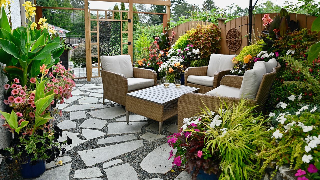 5 low-effort plants that will make your patio look amazing