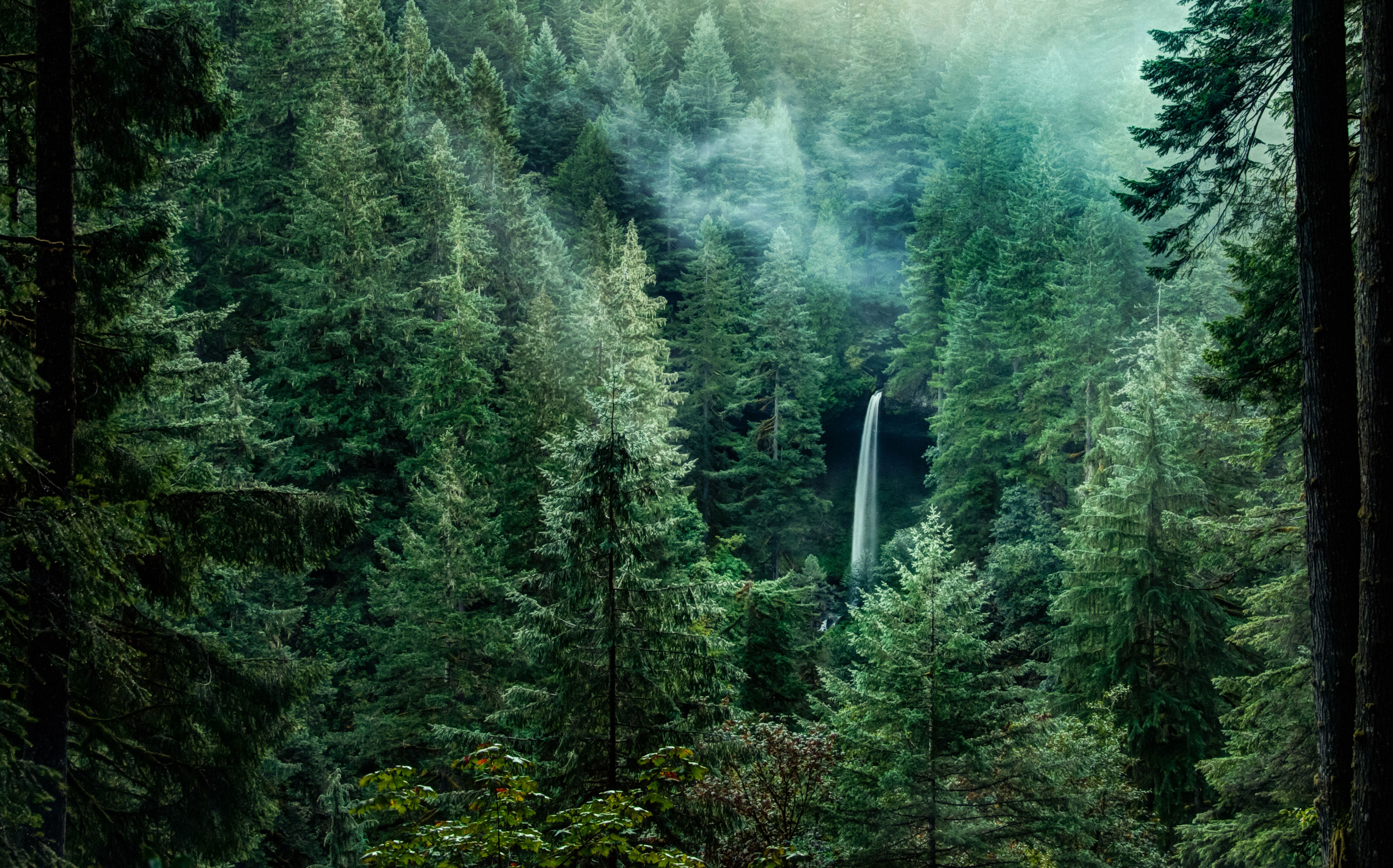 Where was Twilight filmed? Sinking our teeth into the real Forks ...