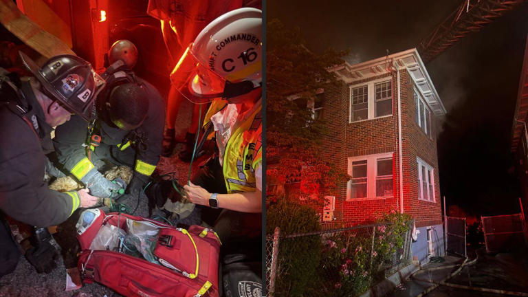 3 cats missing after house fire in Dorchester