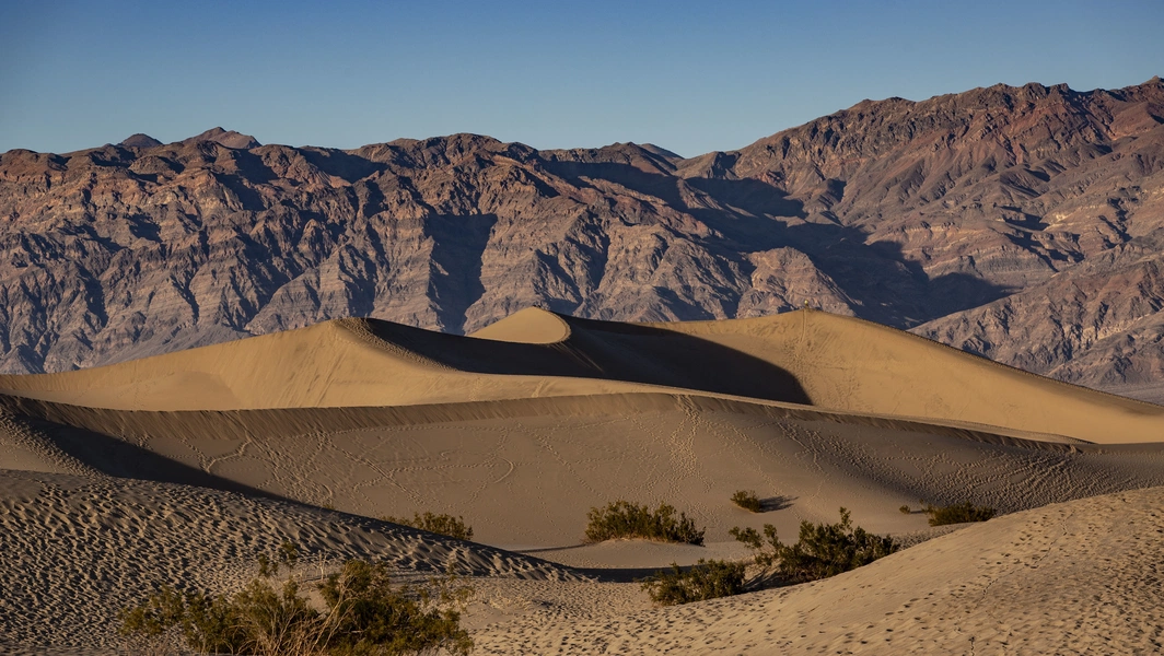Surviving and thriving in Death Valley