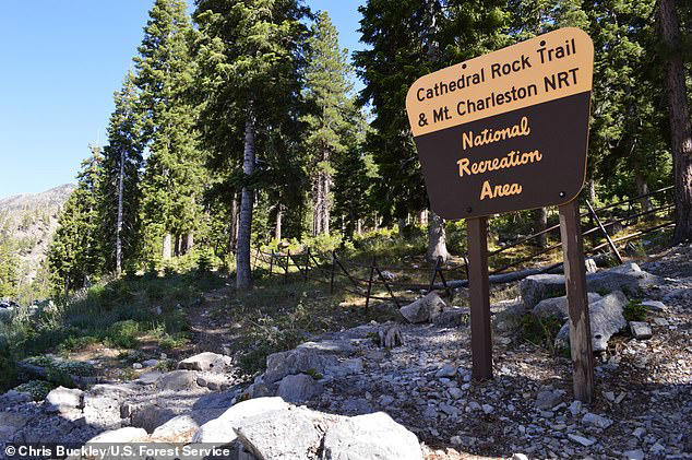 Horror first date ends with rescue mission in Nevada desert after woman ...