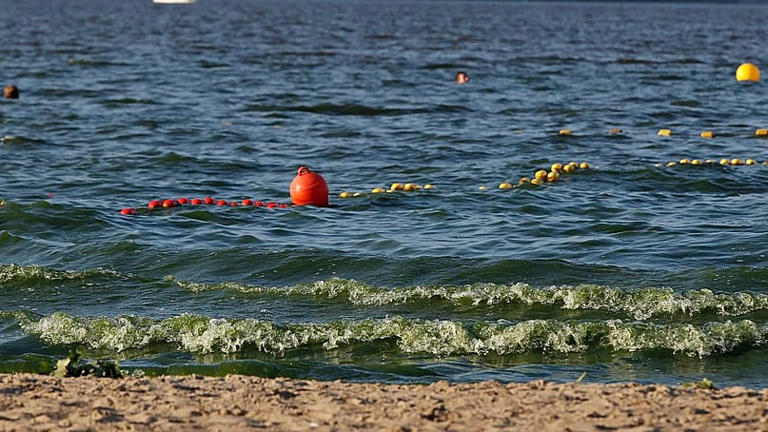 Jeder schluckt 50 Milliliter Wasser beim Schwimmen - wie sauber sind ...