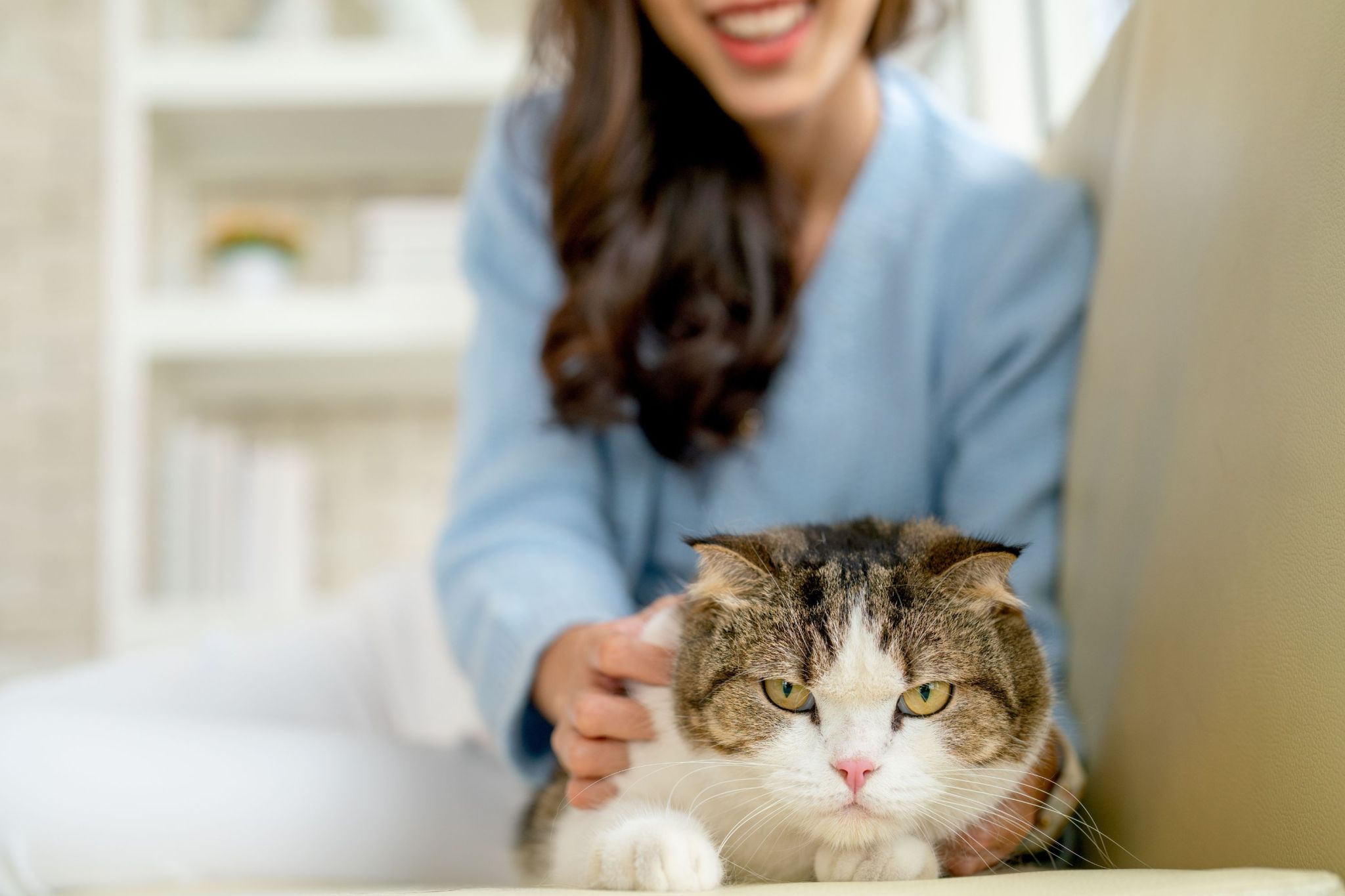 5 daily habits that make your cat secretly dislike you
