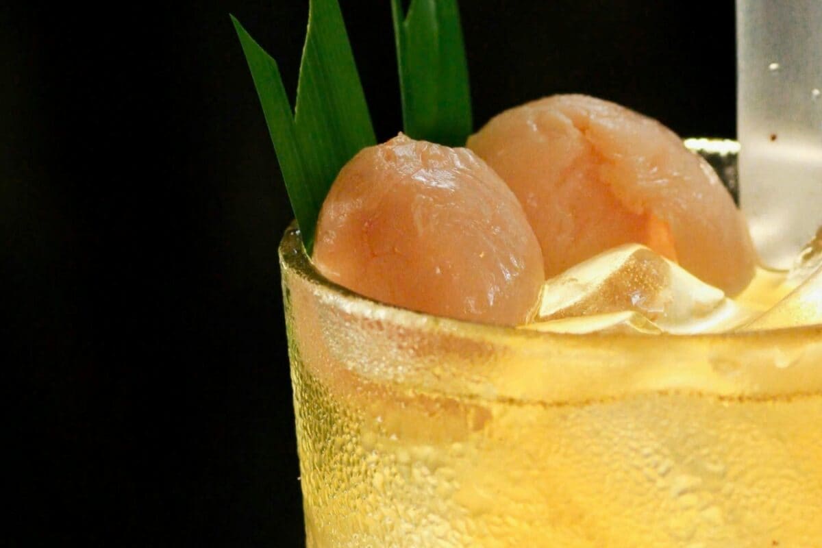 This recipe for lychee and coconut cooler makes staying hydrated very easy