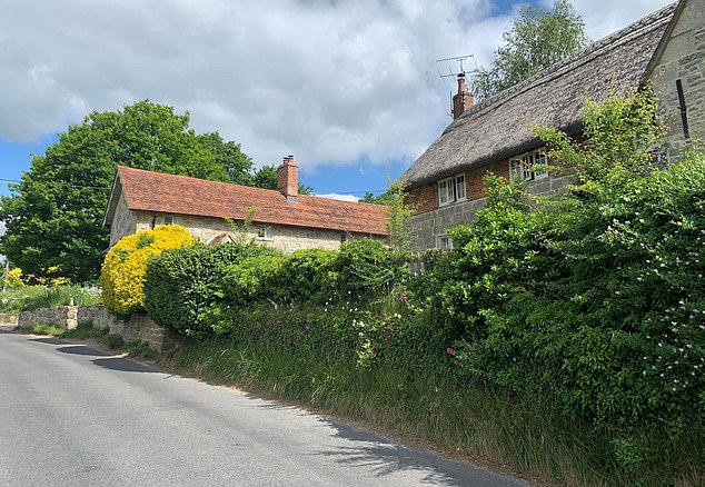 James May is ordered to rebuild dangerous steep steps in garden of his ...