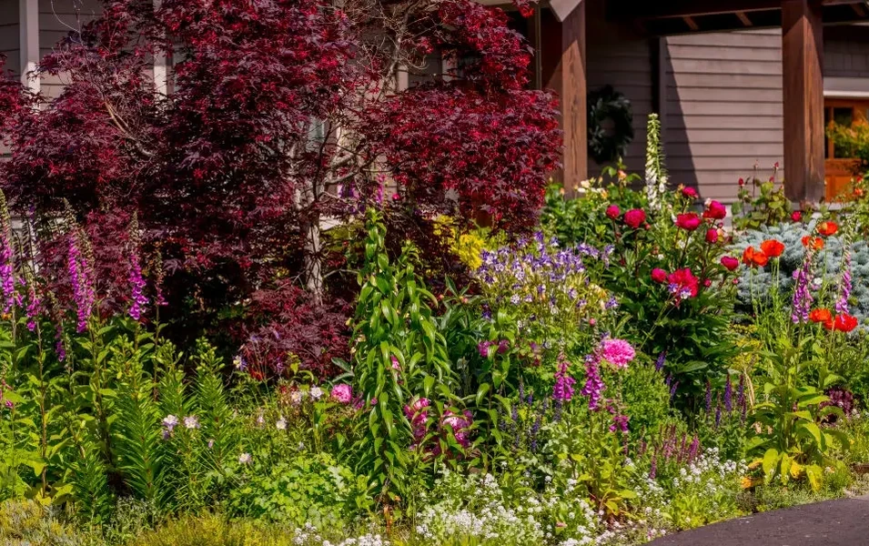 Perennial garden ideas for year-round color