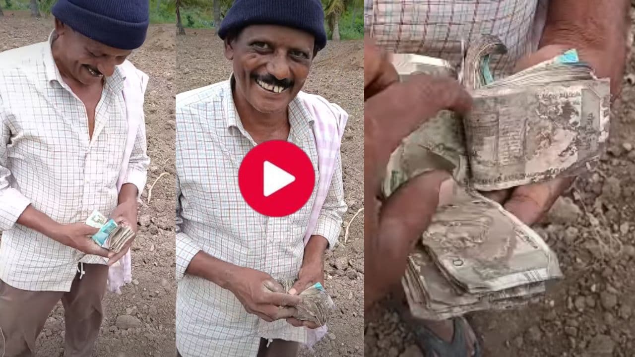 Watch: Farmer finds Rs 17,000 lost in mud after 4 months, viral video ...
