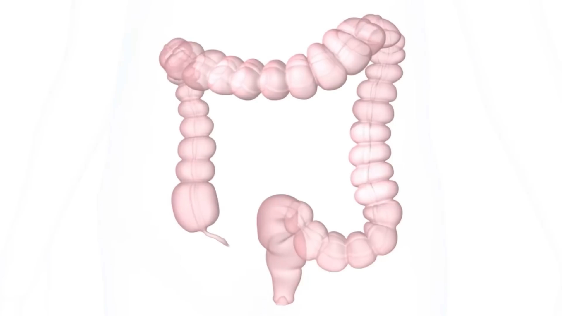 Why your gut could be doing more harm than you think