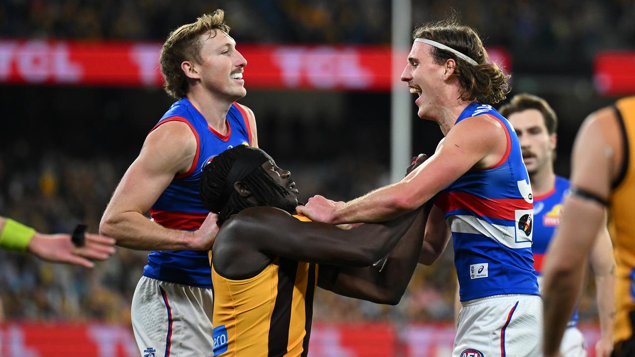 Dogs defender takes down Wizard - and abusive fan