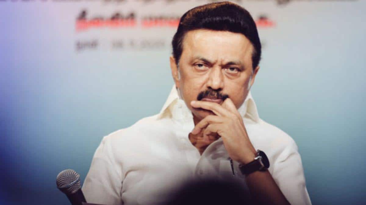 'TVK govt survives on our mercy': DMK prez MK Stalin vows to bring down ...