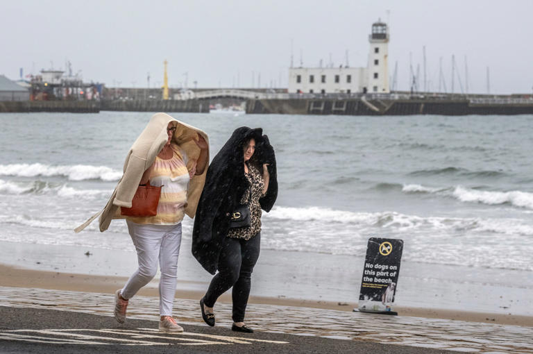 Met Office issues yellow warning as south coast lashed by strong winds