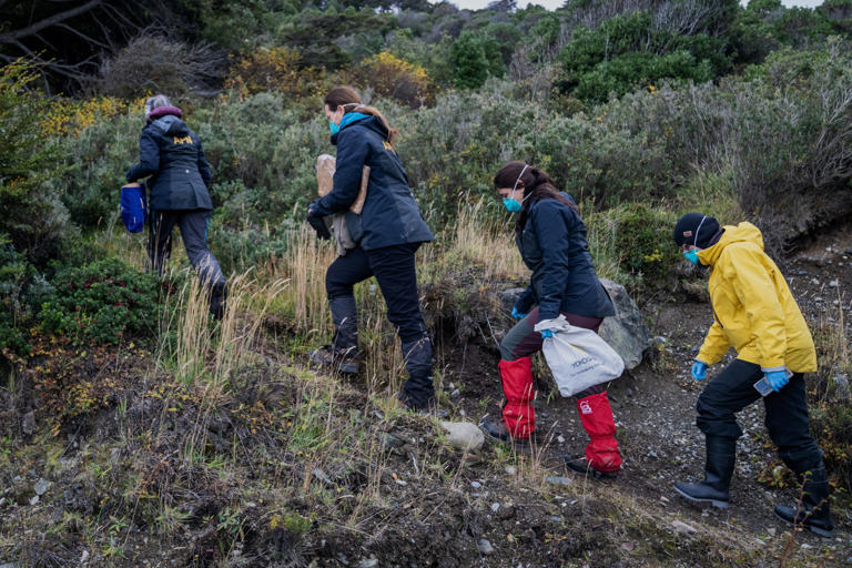 Scientists retrace path of tourists as hantavirus probe expanded