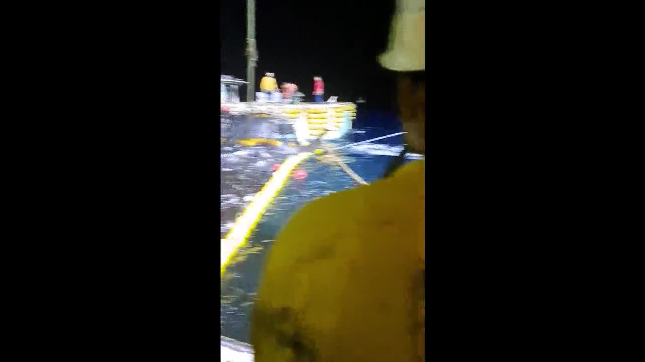 Vietnam fishermen rescue massive whale shark trapped in fishing net
