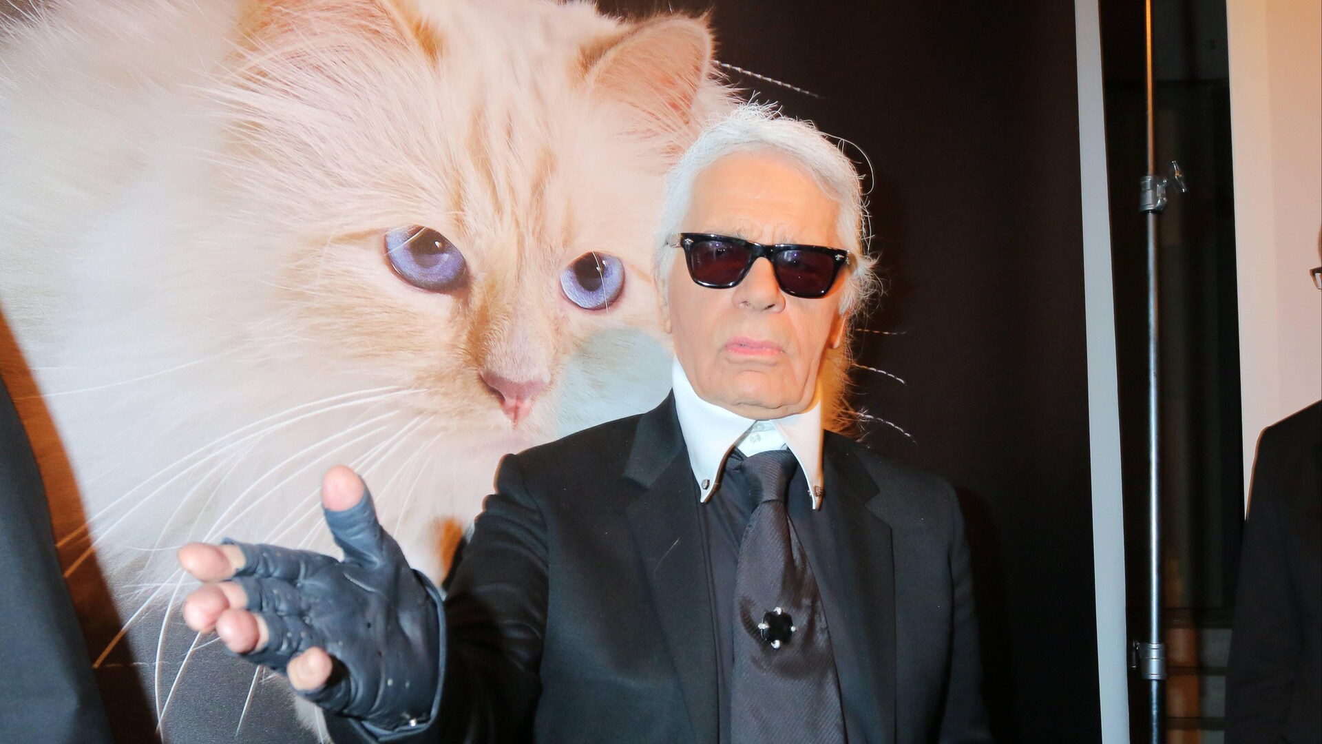 Lagerfelds 250-Millionen-Erbe verteilt: Katze Choupette geht offiziell ...