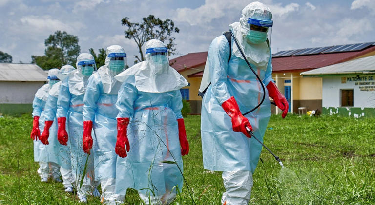 Ébola. Sobe para 452 o número de casos na RDCongo